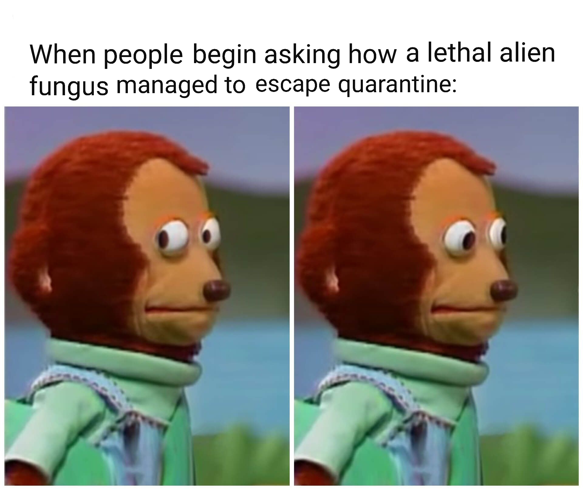 Promotion challenge: Promote your series using silly memes ...