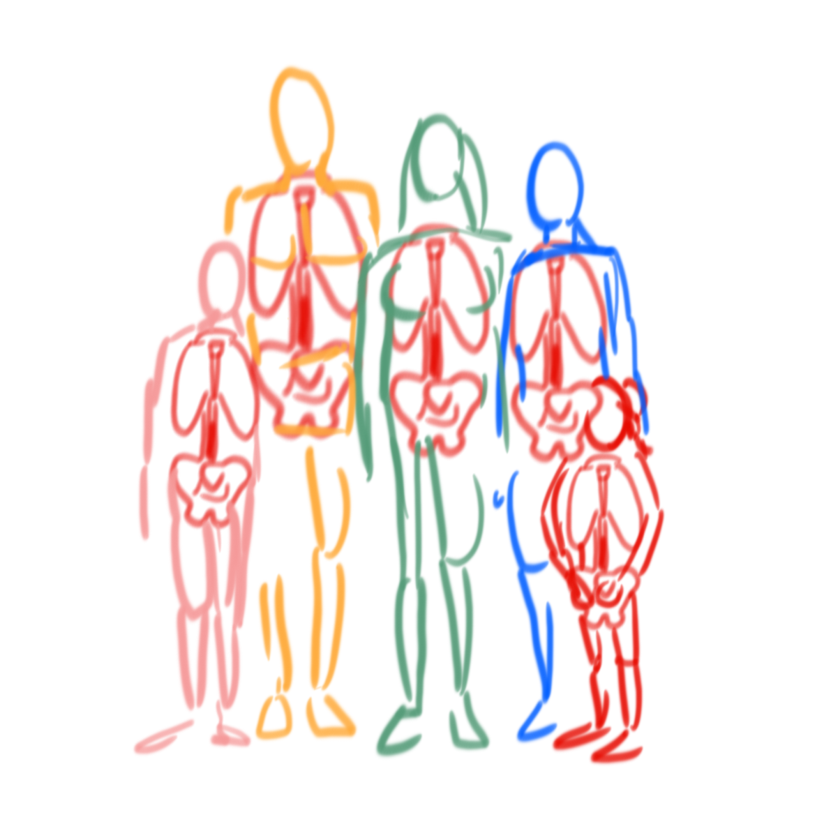 Torso measurements on teenage and adult characters drawn with shorter ...