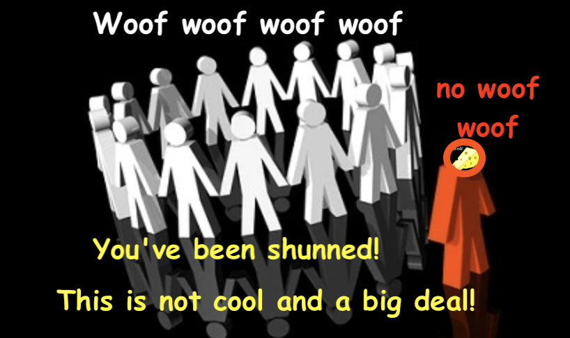 The woof woof thread 🐶 - Off Topic - Tapas Forum